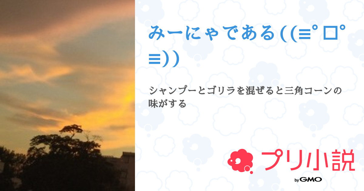 みーにゃである≡ﾟ♀ﾟ≡ 全4話 【連載中】（吾猫みーにゃ 🐟🍙🍻 🌀🕰🍃さんの小説） 無料スマホ夢小説ならプリ小説 Bygmo